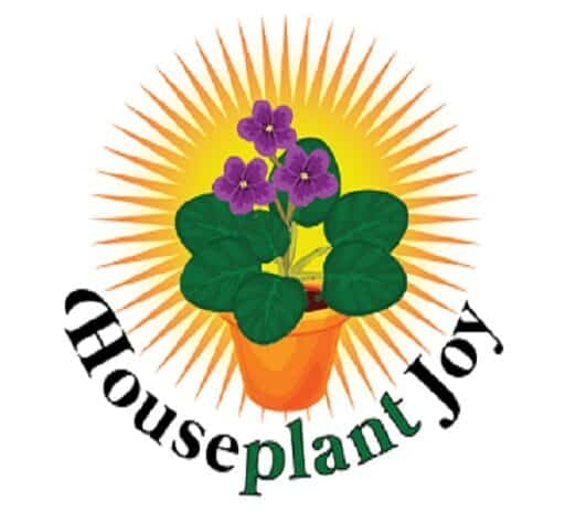 All About Pitcher Plants - HouseplantJoy.com
