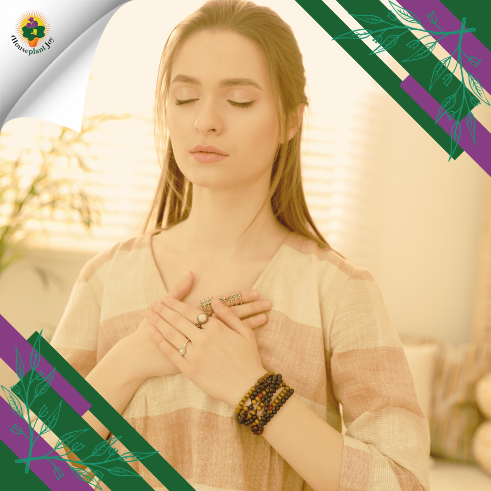 Healing Power of Plants: Nature's Wellness - HouseplantJoy.com