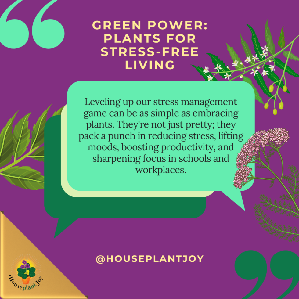 Plant Therapy: Using Houseplants To Reduce Stress And Anxiety ...