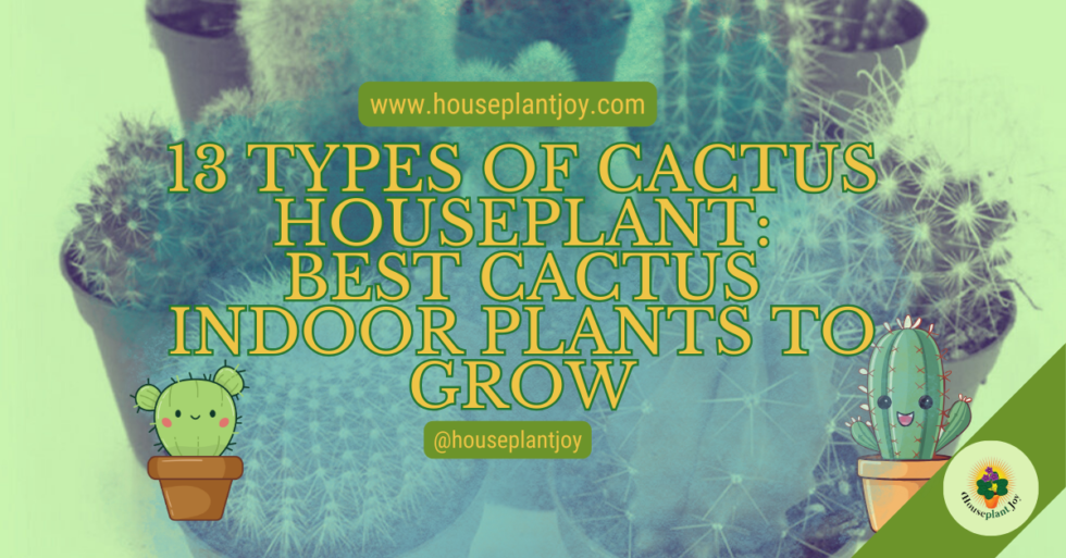 13 Types of Cactus Houseplant: Best Cactus Indoor Plants