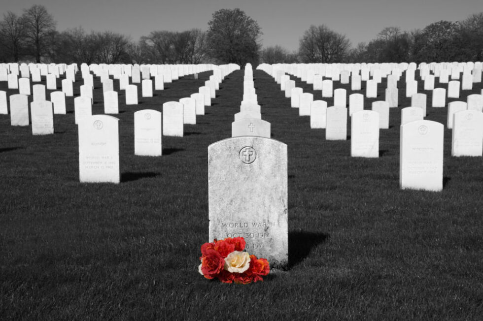 Plants For Memorial Day