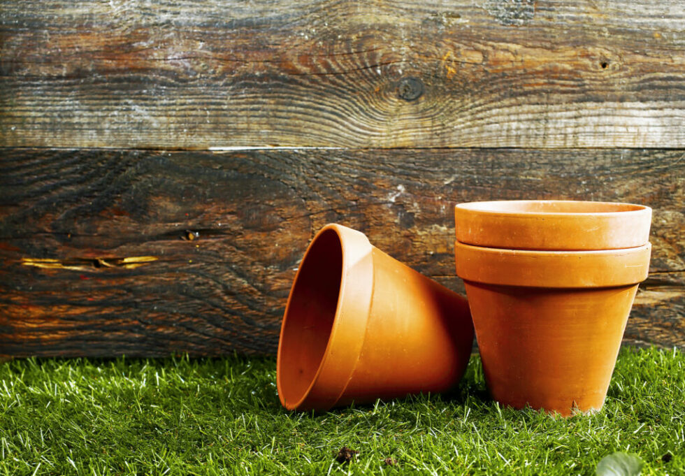 Types of Plant Pots - HouseplantJoy.com