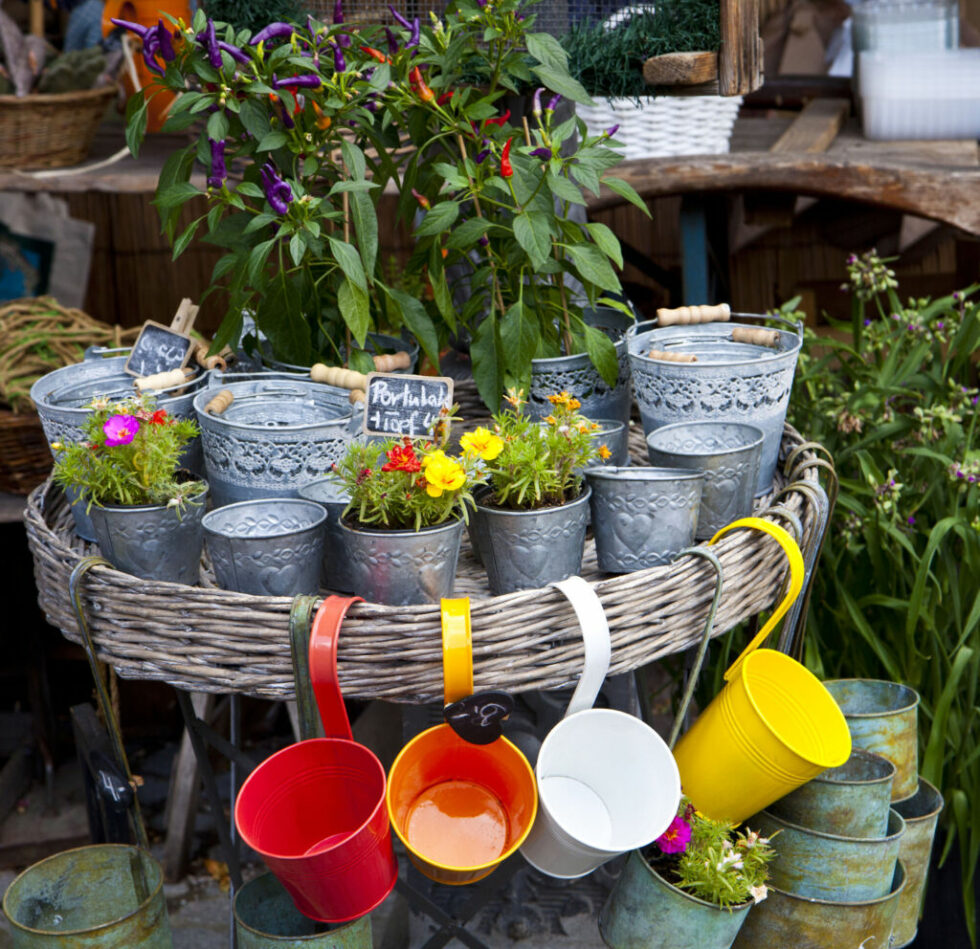 Types of Plant Pots - HouseplantJoy.com