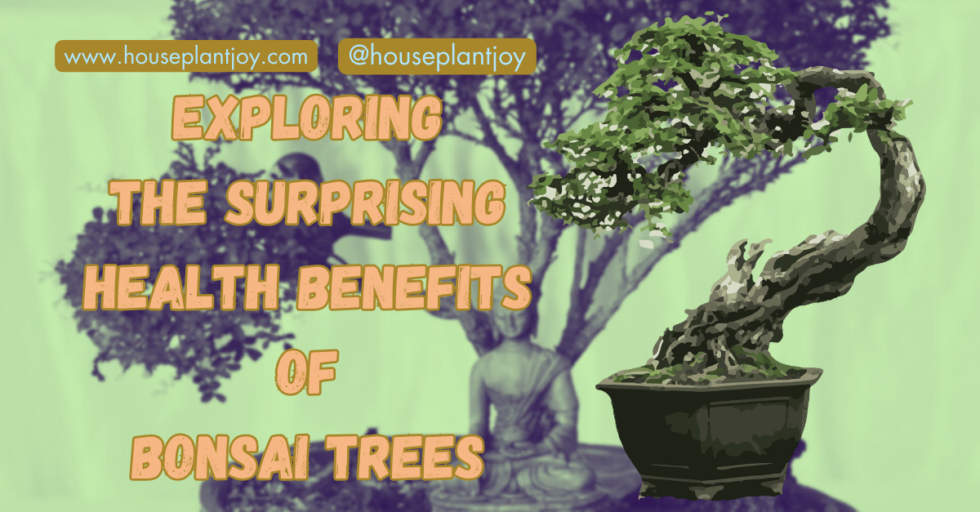 The Surprising Health Benefits of Bonsai Trees - HouseplantJoy.com