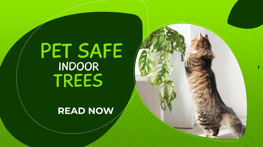 Pet Safe Indoor Trees to Brighten up Your Home Décor
