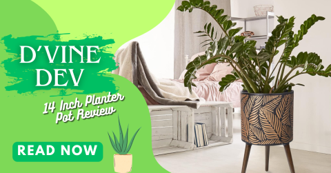D'vine Dev 14 Inch Planter Pot Review - HouseplantJoy.com