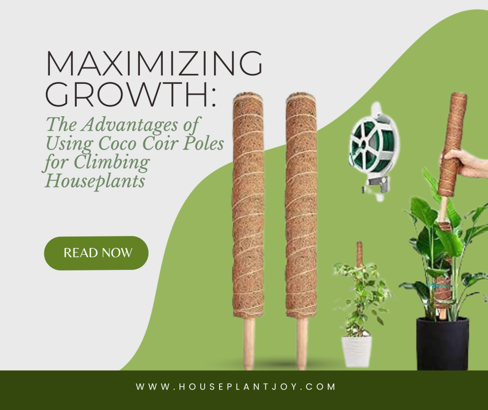 Maximizing Growth: The Advantages of Using Coco Coir Poles for Climbing ...