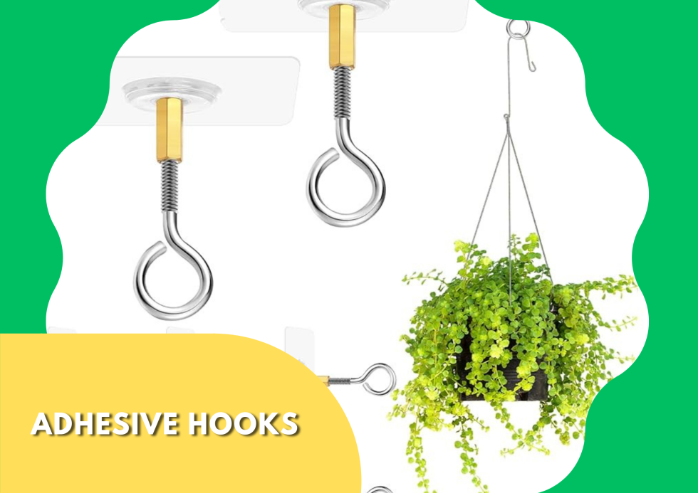 Creative Ways to Hang Plants in Apartment Without Drilling ...
