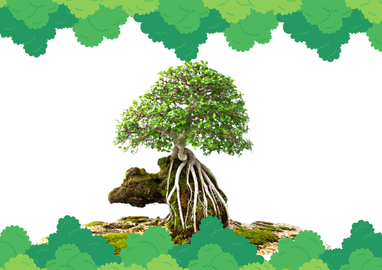 Guide to Bonsai Root Trimming - HouseplantJoy.com