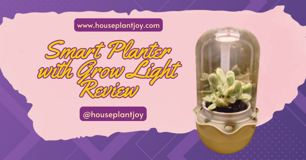 Smart Planter with Grow Light Review - HouseplantJoy.com