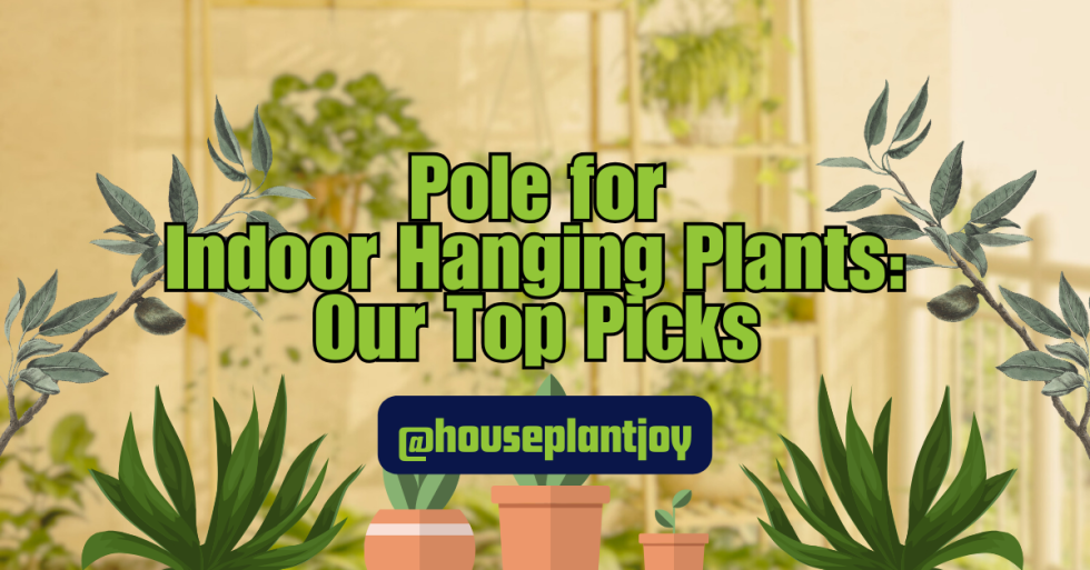 Pole for Indoor Hanging Plants: Our Top Picks - HouseplantJoy.com