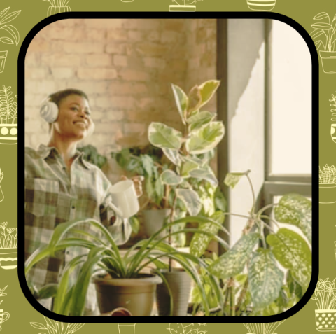 Plant Care as Self-Care: Boosting Well-being Through Foliage ...