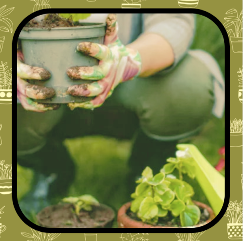 Plant Care as Self-Care: Boosting Well-being Through Foliage ...