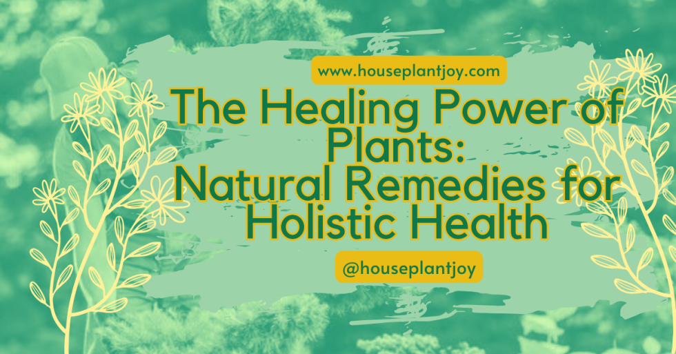The Healing Power of Plants: Natural Remedies for Holistic Health ...
