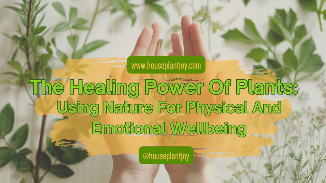 Healing Power of Plants: Nature's Wellness - HouseplantJoy.com
